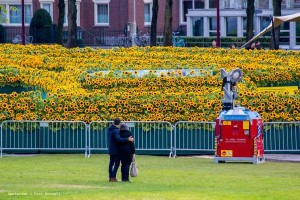 Europe's best mazes: because getting lost can be fun - Traveler's Edition