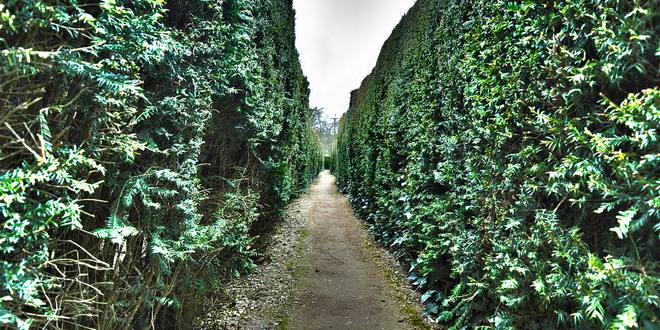 Europe's best mazes: because getting lost can be fun - Traveler's Edition