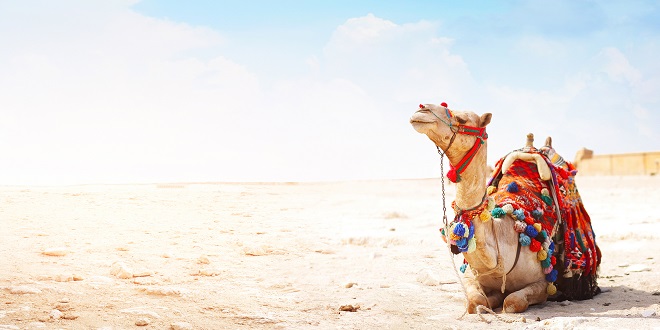 The World's Most Beautiful Deserts - Traveler's Edition