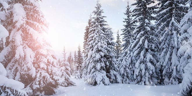 Forecasts Predict Late And Short Winter Season - Traveler's Edition